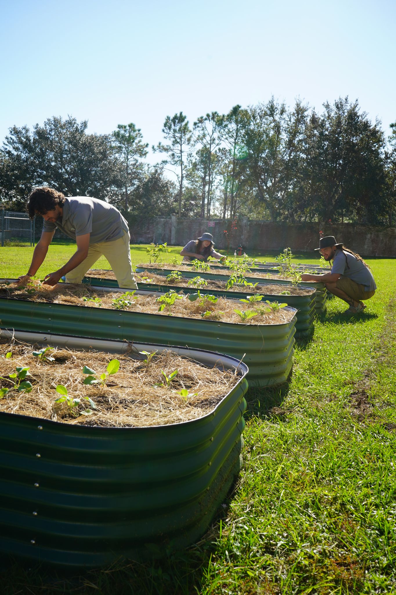 Home Florida Edible Landscapes Grow Your Own Paradise