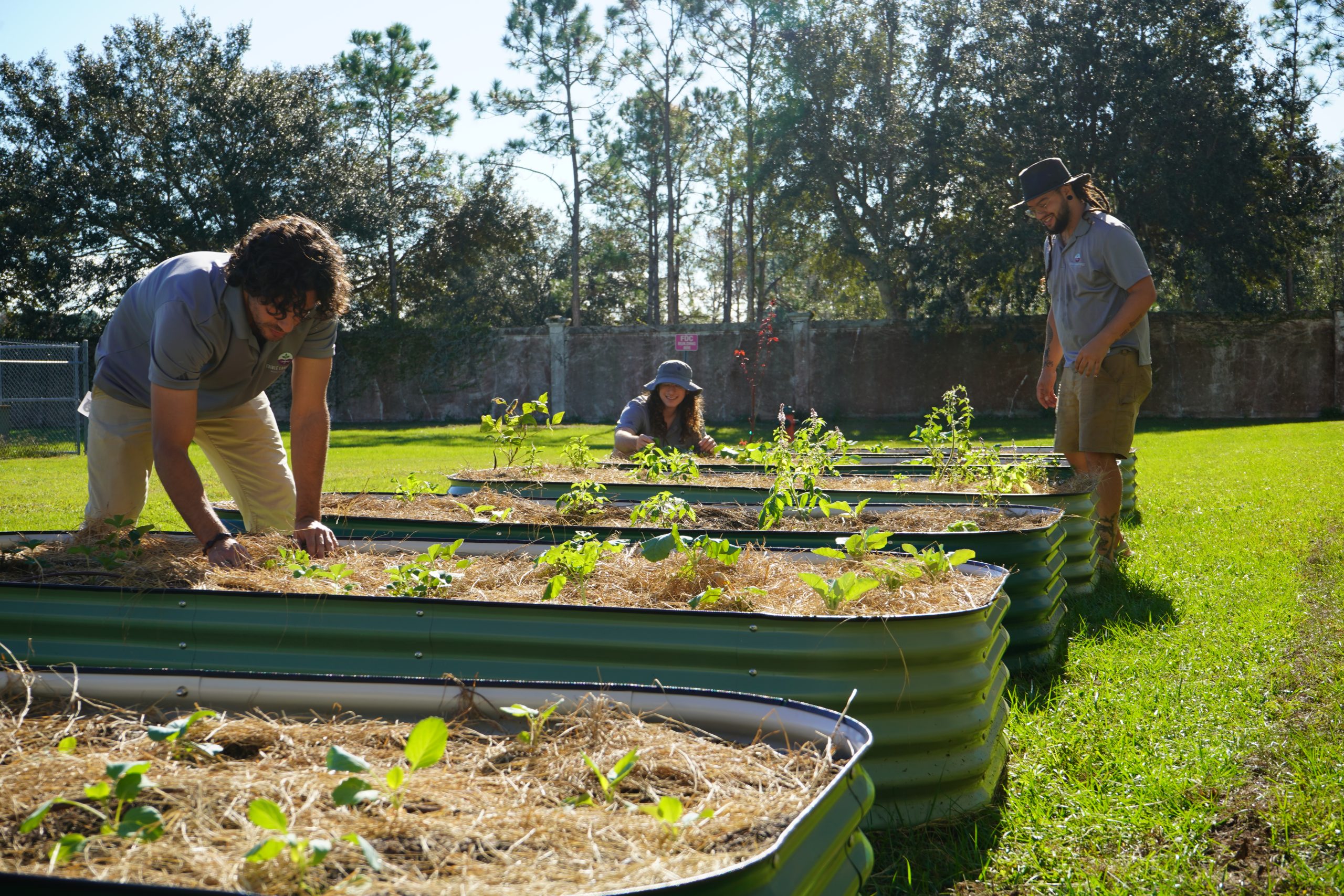 Home Florida Edible Landscapes Grow Your Own Paradise